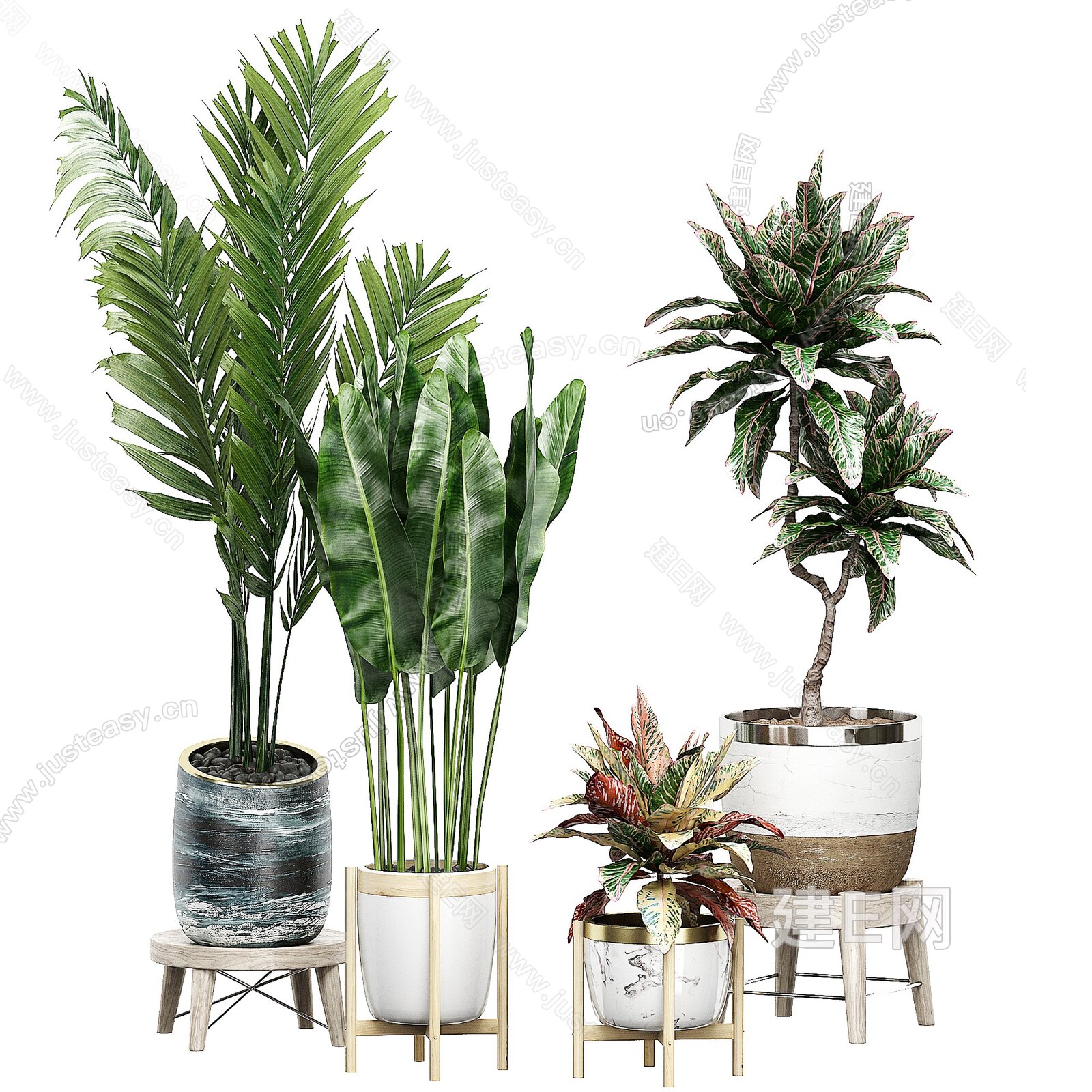 【现代绿植摆件3d模型】建e网现代绿植摆件3d模型下载 Id110250149 打造3d现代绿植摆件模型免费下载平台