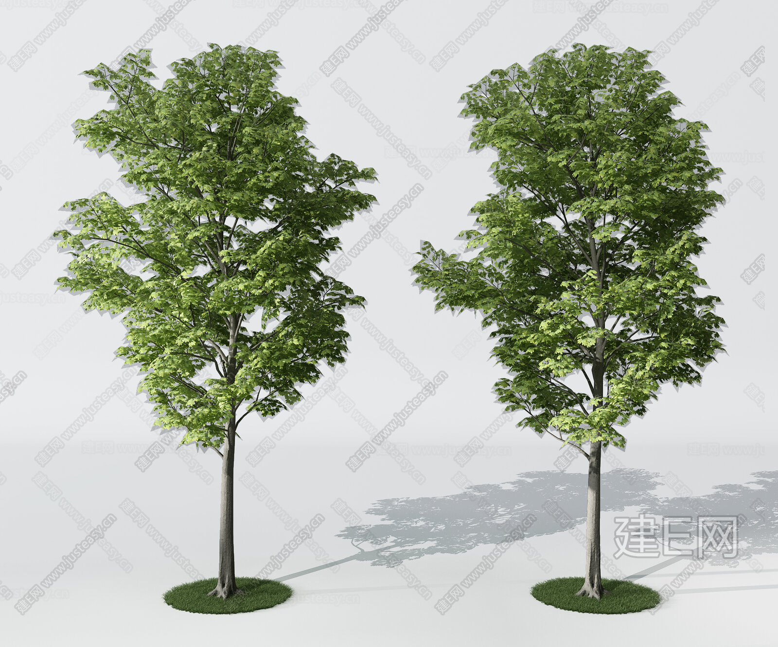 【现代植物树3d模型】建e网现代植物树3d模型下载 Id102453496 打造3d现代植物树模型免费下载平台