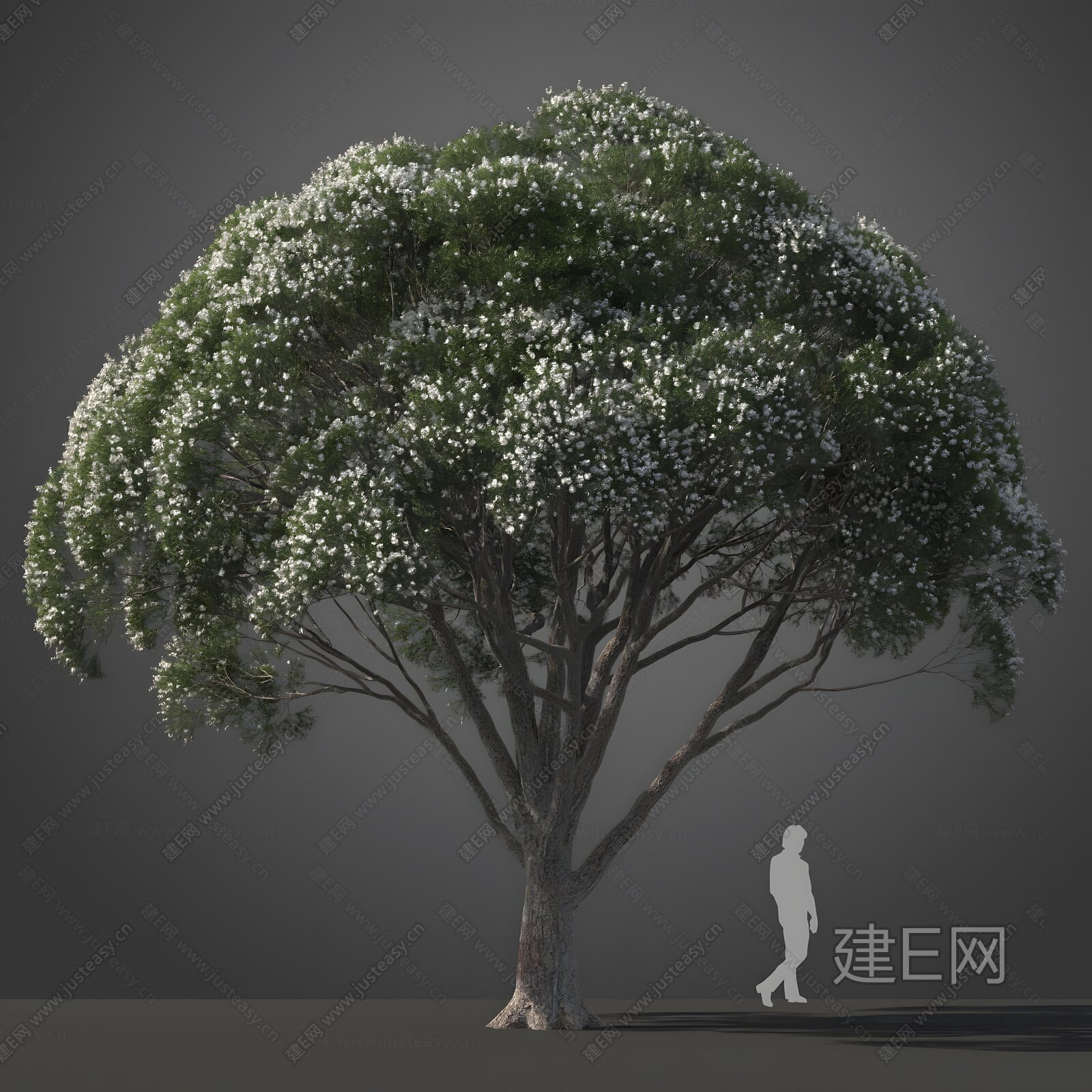 【现代树木3d模型】建e网现代树木3d模型下载 Id109531202 打造3d现代树木模型免费下载平台