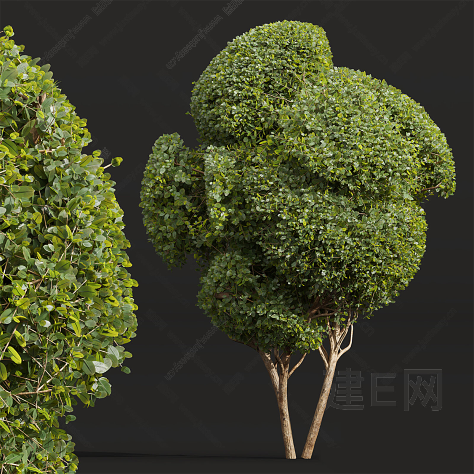 【现代树木3d模型】建e网现代树木3d模型下载 Id109465617 打造3d现代树木模型免费下载平台