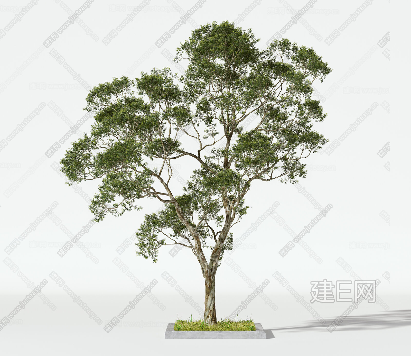 【现代树木3d模型】建e网现代树木3d模型下载 Id105665436 打造3d现代树木模型免费下载平台