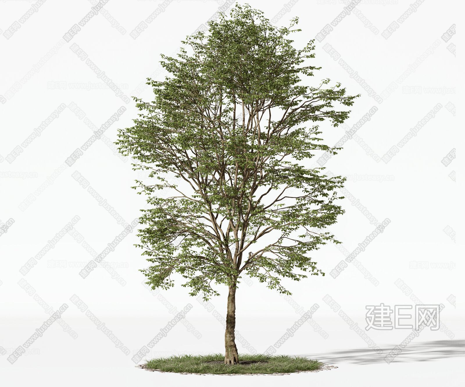【现代树木3d模型】建e网现代树木3d模型下载 Id102257439 打造3d现代树木模型免费下载平台