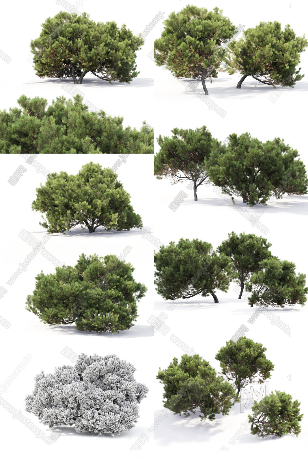 【现代树木3d模型】建e网现代树木3d模型下载 Id117199768 打造3d现代树木模型免费下载平台