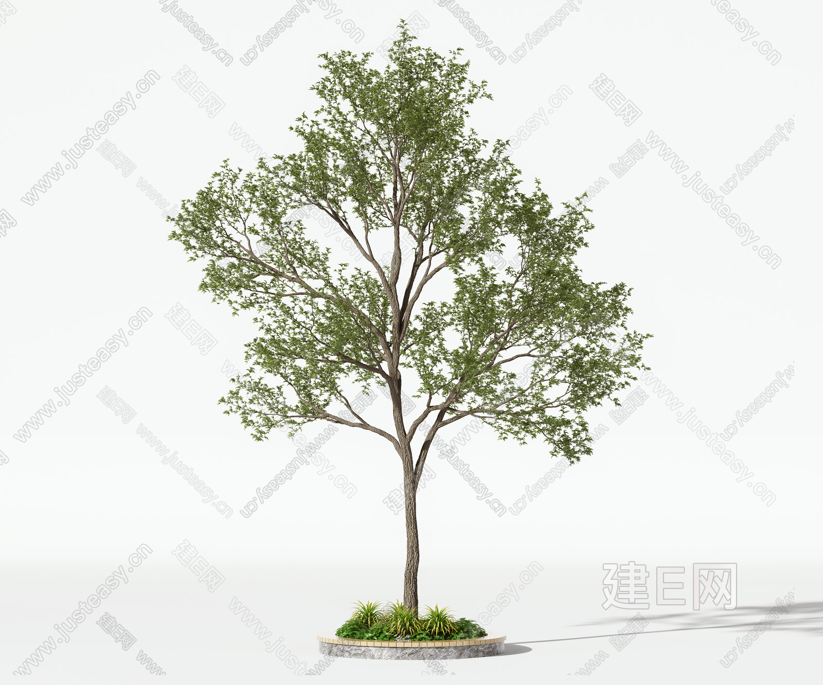 【现代树木3d模型】建e网现代树木3d模型下载 Id104944240 打造3d现代树木模型免费下载平台
