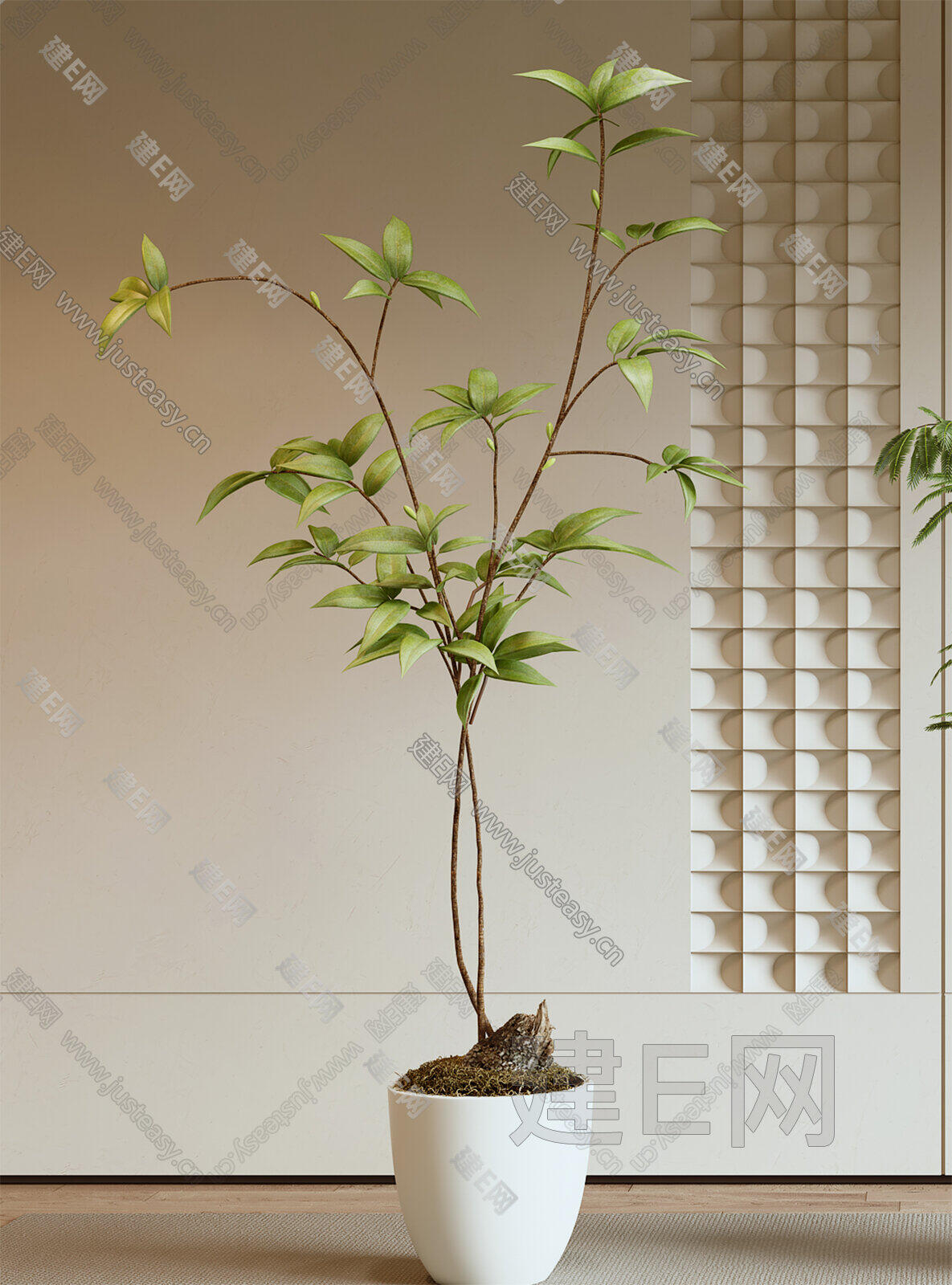 【现代绿植组合3d模型】建e网现代绿植组合3d模型下载 Id105534029 打造3d现代绿植组合模型免费下载平台