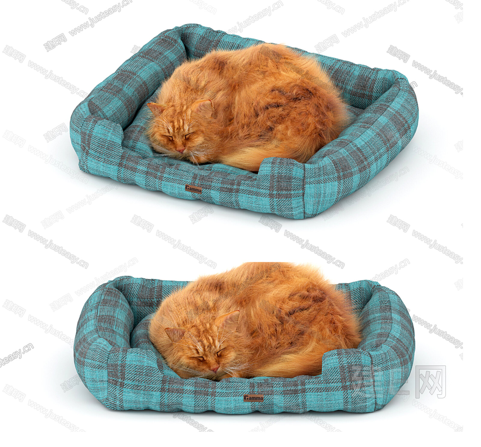 【现代猫3d模型】建e网现代猫3d模型下载 Id117265075 打造3d现代猫模型免费下载平台