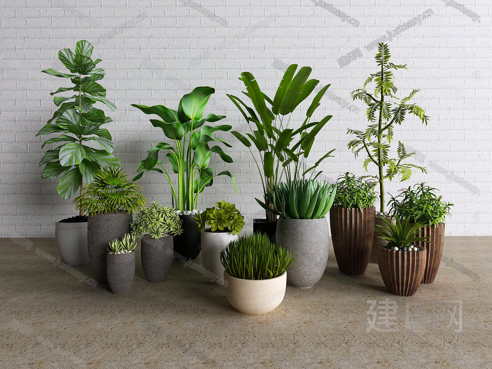 【现代植物组合3d模型】建e网现代植物组合3d模型下载 Id110121570 打造3d现代植物组合模型免费下载平台