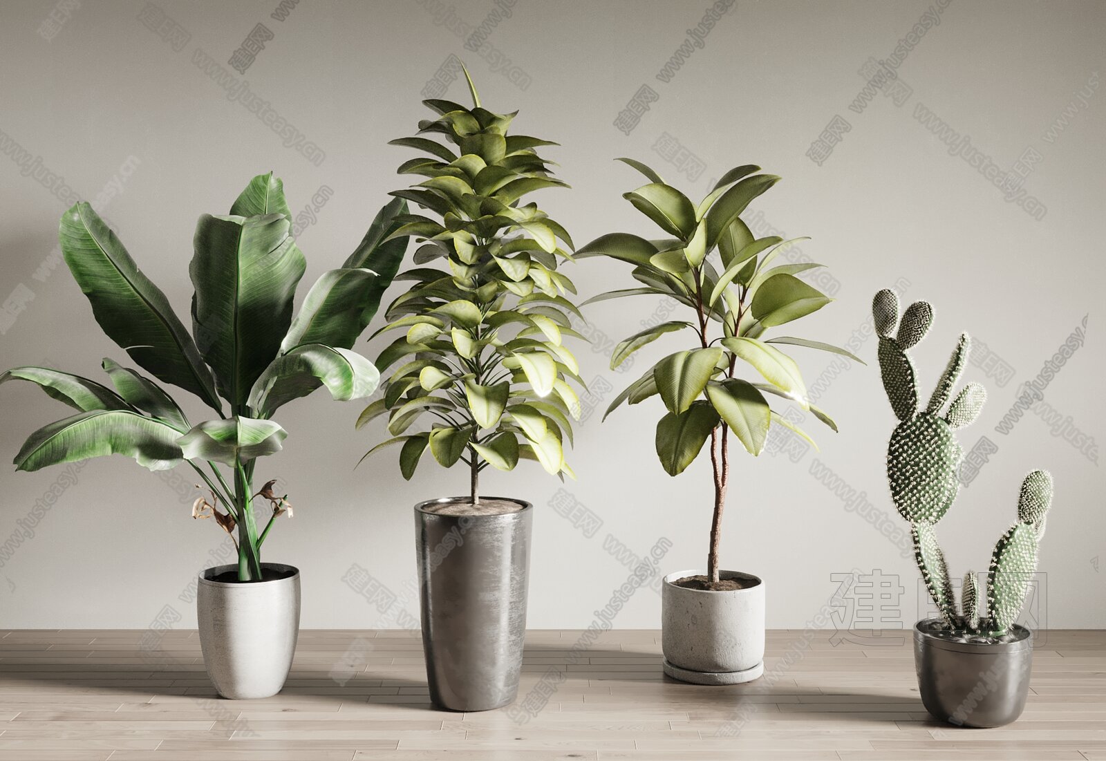 【现代盆栽植物3d模型】建e网现代盆栽植物3d模型下载 Id105862405 打造3d现代盆栽植物模型免费下载平台