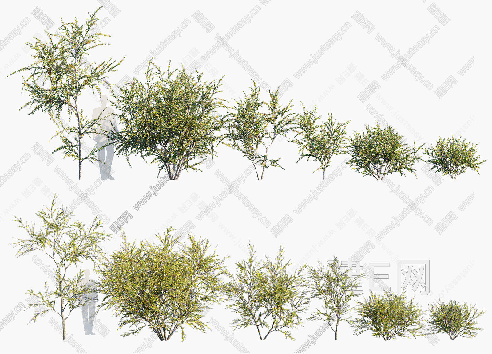【景观树木灌木3d模型】建e网景观树木灌木3d模型下载 Id105469302 打造3d景观树木灌木模型免费下载平台