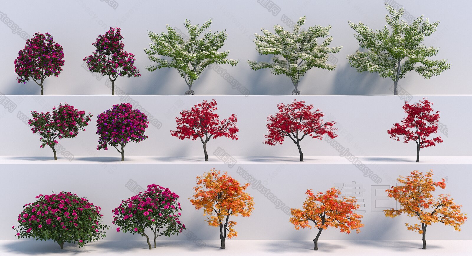 【树木3d模型】建e网树木3d模型下载 Id107697411 打造3d树木模型免费下载平台