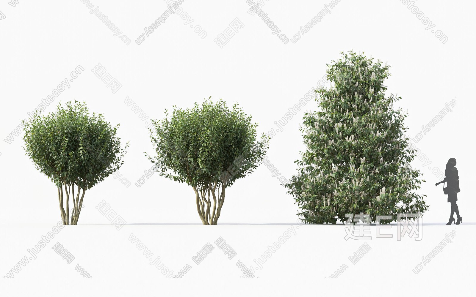 【园林灌木3d模型】建e网园林灌木3d模型下载 Id101995966 打造3d园林灌木模型免费下载平台
