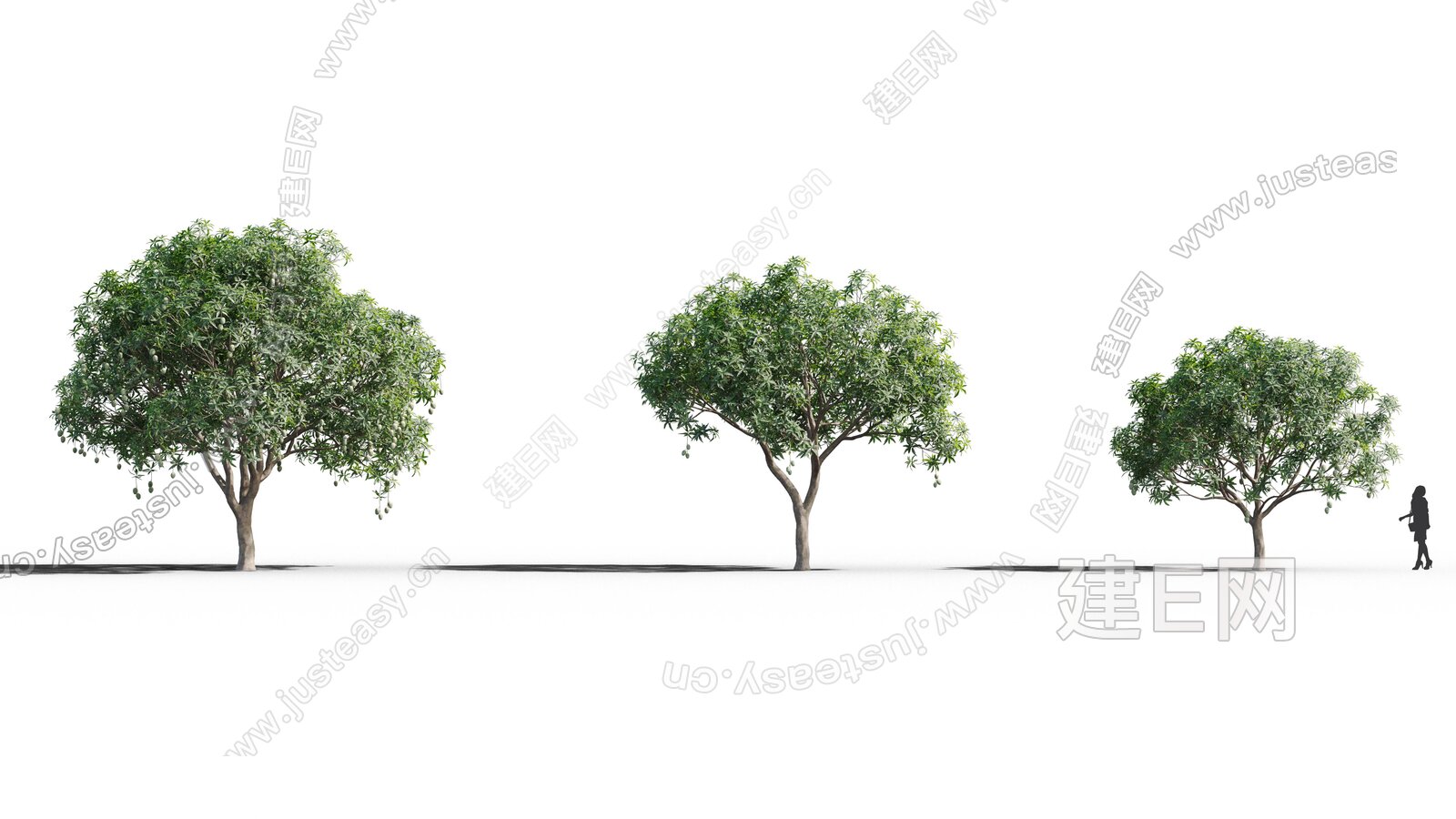 【现代植物树木3d模型】建e网现代植物树木3d模型下载 Id102585673 打造3d现代植物树木模型免费下载平台