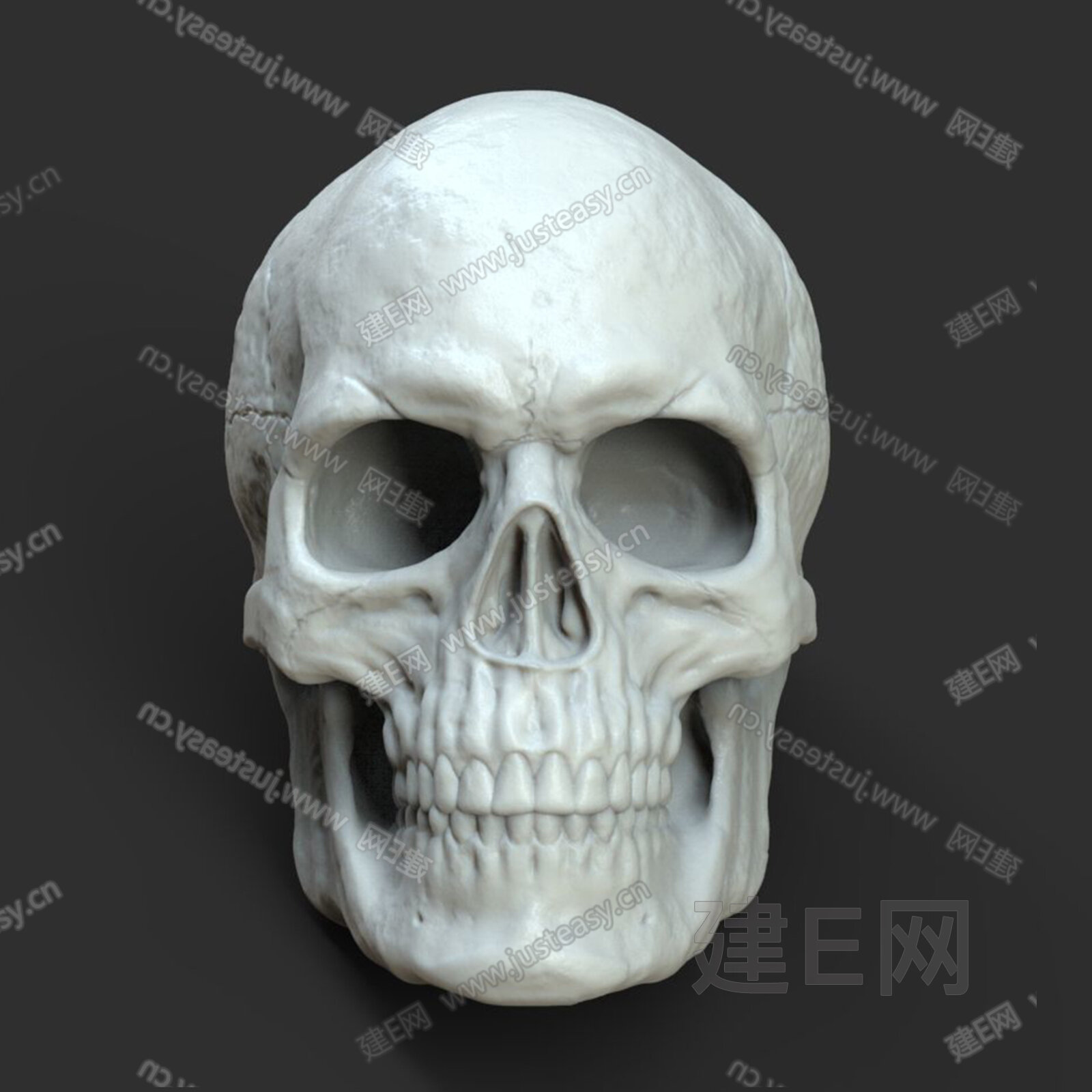 【现代人类头骨 骨头3d模型】建e网现代人类头骨 骨头3d模型下载 Id112416081 打造3d现代人类头骨 骨头模型免费下载平台
