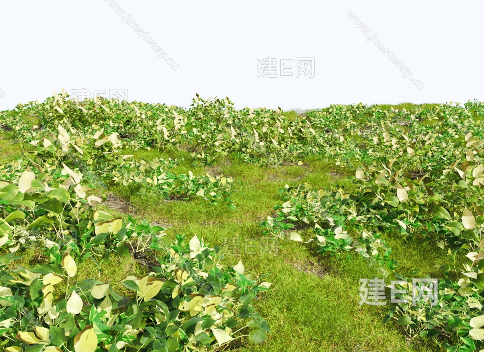 【灌木丛3d模型】建e网灌木丛3d模型下载 Id106189867 打造3d灌木丛模型免费下载平台