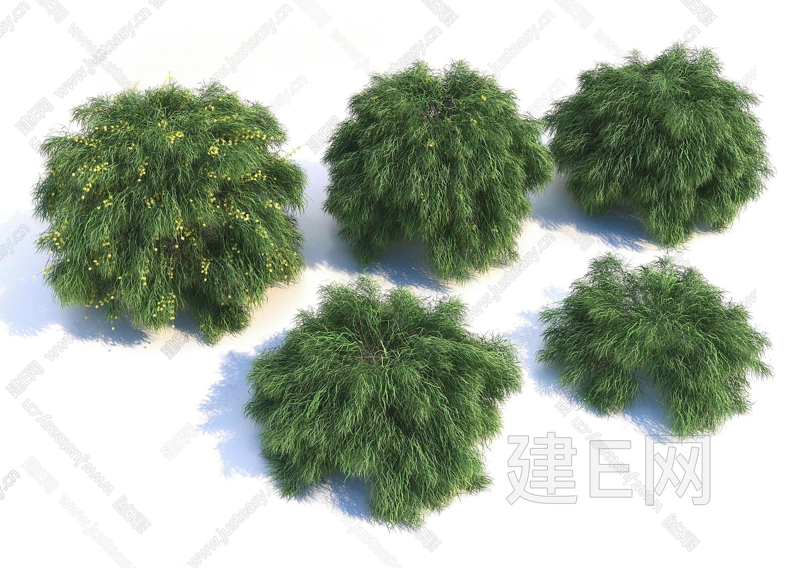 【绿植灌木3d模型】建e网绿植灌木3d模型下载 Id108942466 打造3d绿植灌木模型免费下载平台