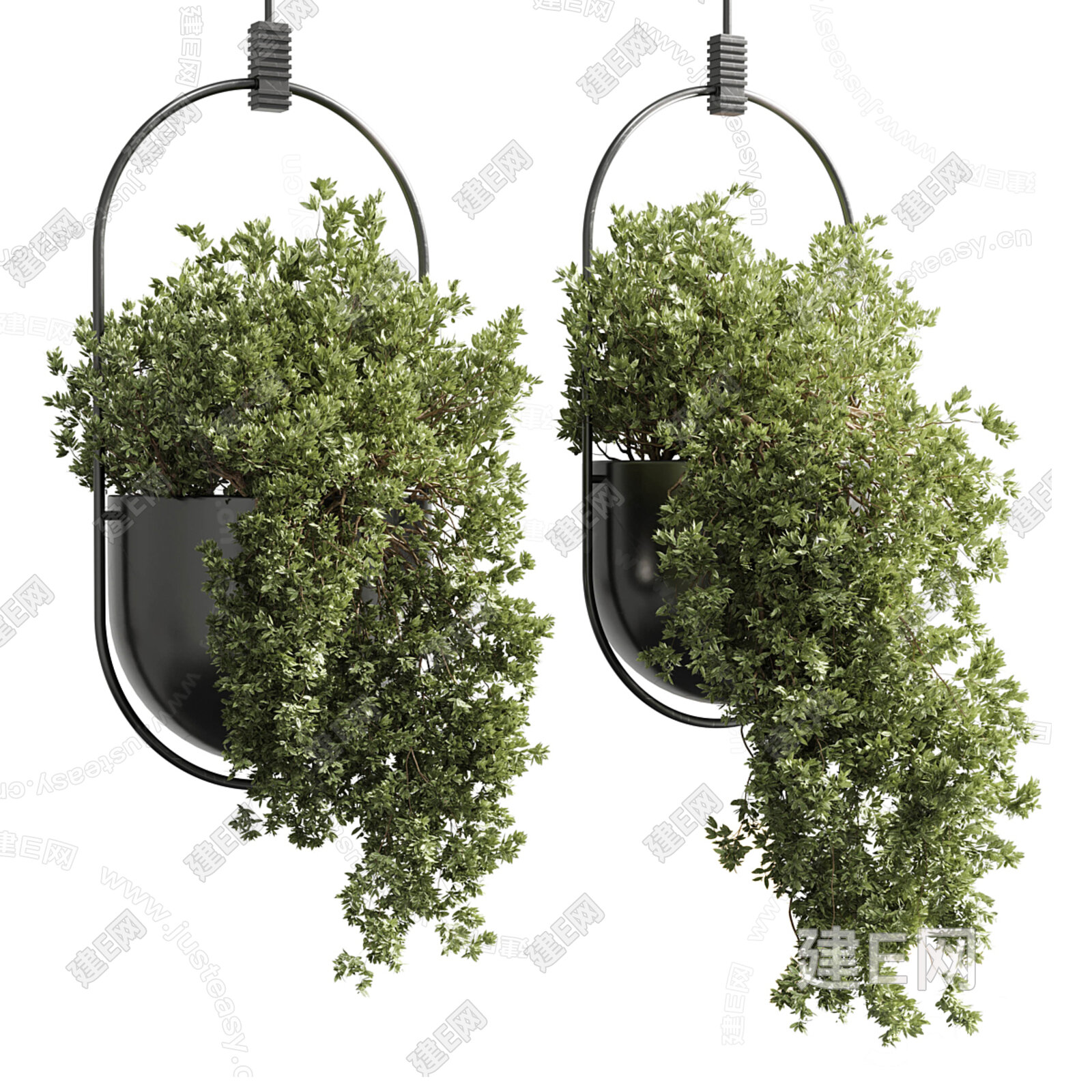 【现代绿植盆栽吊篮3d模型】建e网现代绿植盆栽吊篮3d模型下载 Id101995653 打造3d现代绿植盆栽吊篮模型免费下载平台