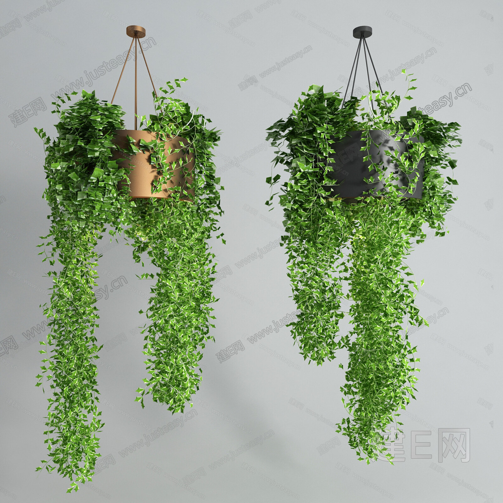 【现代植物吊篮3d模型】建e网现代植物吊篮3d模型下载 Id116085855 打造3d现代植物吊篮模型免费下载平台