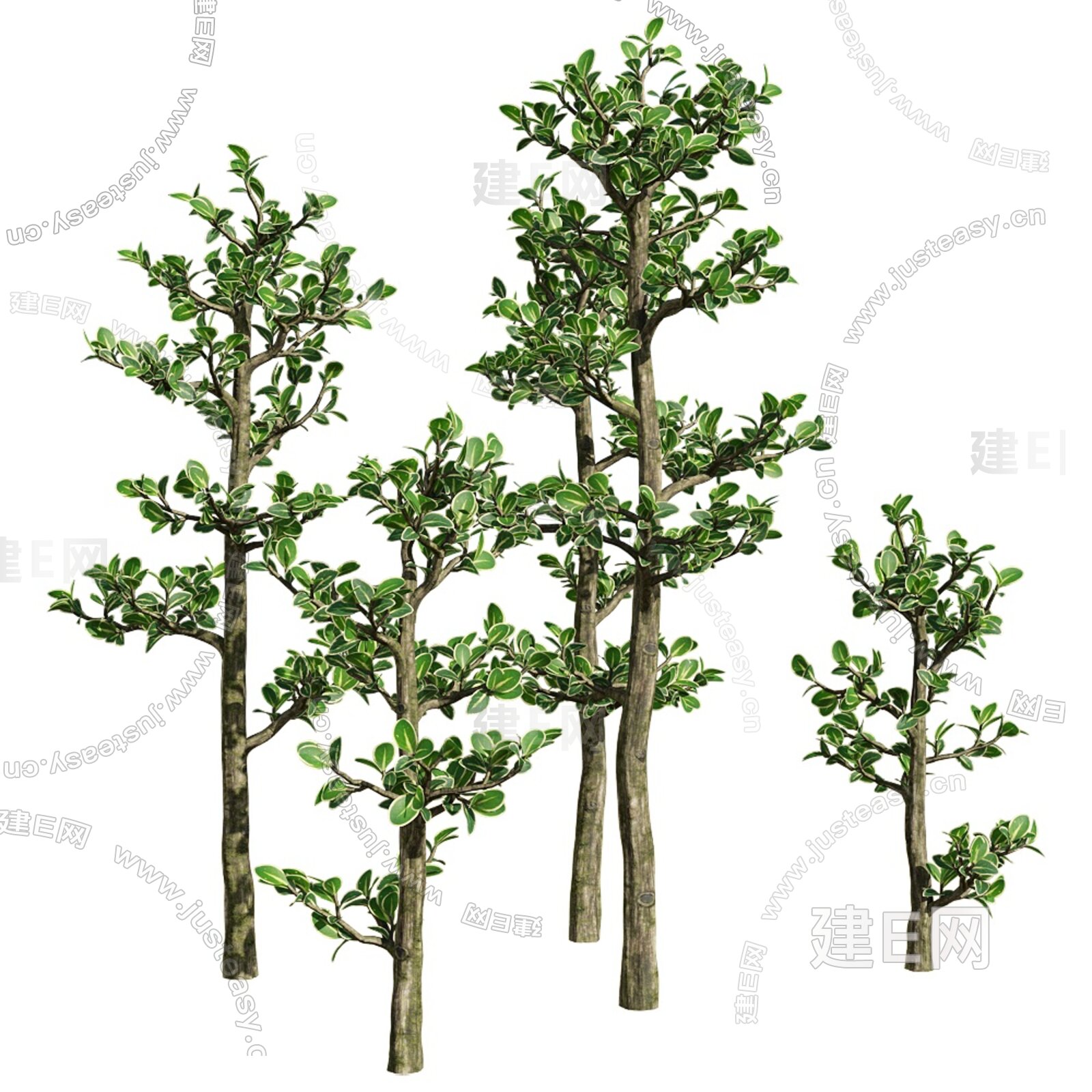 【现代树木3d模型】建e网现代树木3d模型下载 Id105666378 打造3d现代树木模型免费下载平台