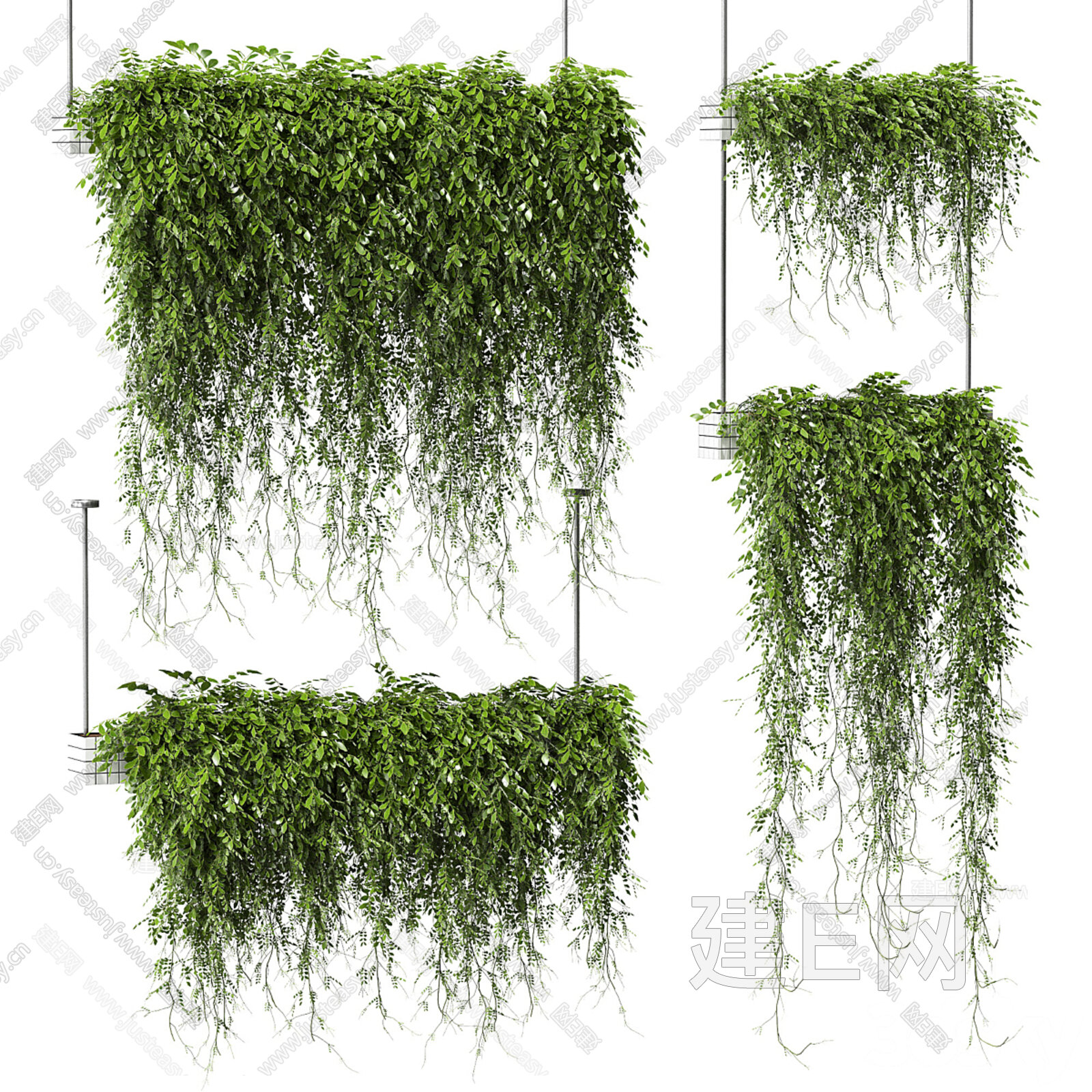 【现代吊篮绿藤植物3d模型】建e网现代吊篮绿藤植物3d模型下载 Id107763494 打造3d现代吊篮绿藤植物模型免费下载平台