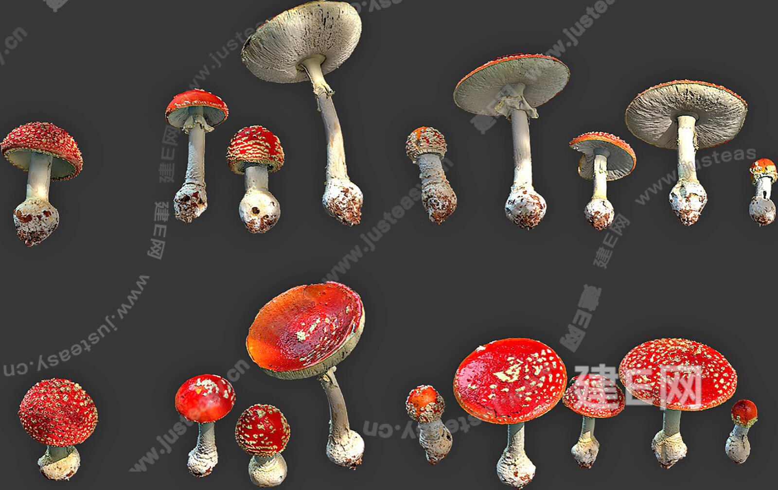 【现代蘑菇装饰品3d模型】建e网现代蘑菇装饰品3d模型下载 Id108681178 打造3d现代蘑菇装饰品模型免费下载平台