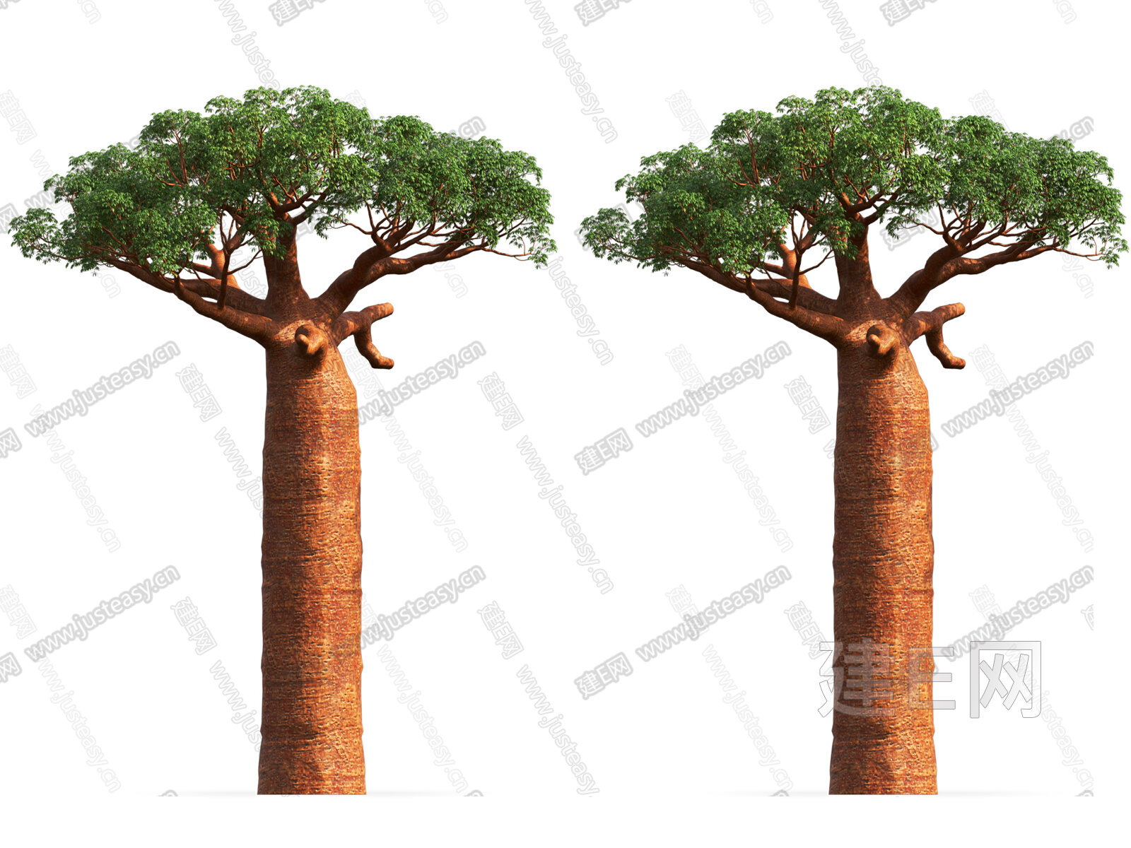 【猴面包树3d模型】建E网_猴面包树3d模型下载[ID:115496898]_打造3d猴面包树模型免费下载平台