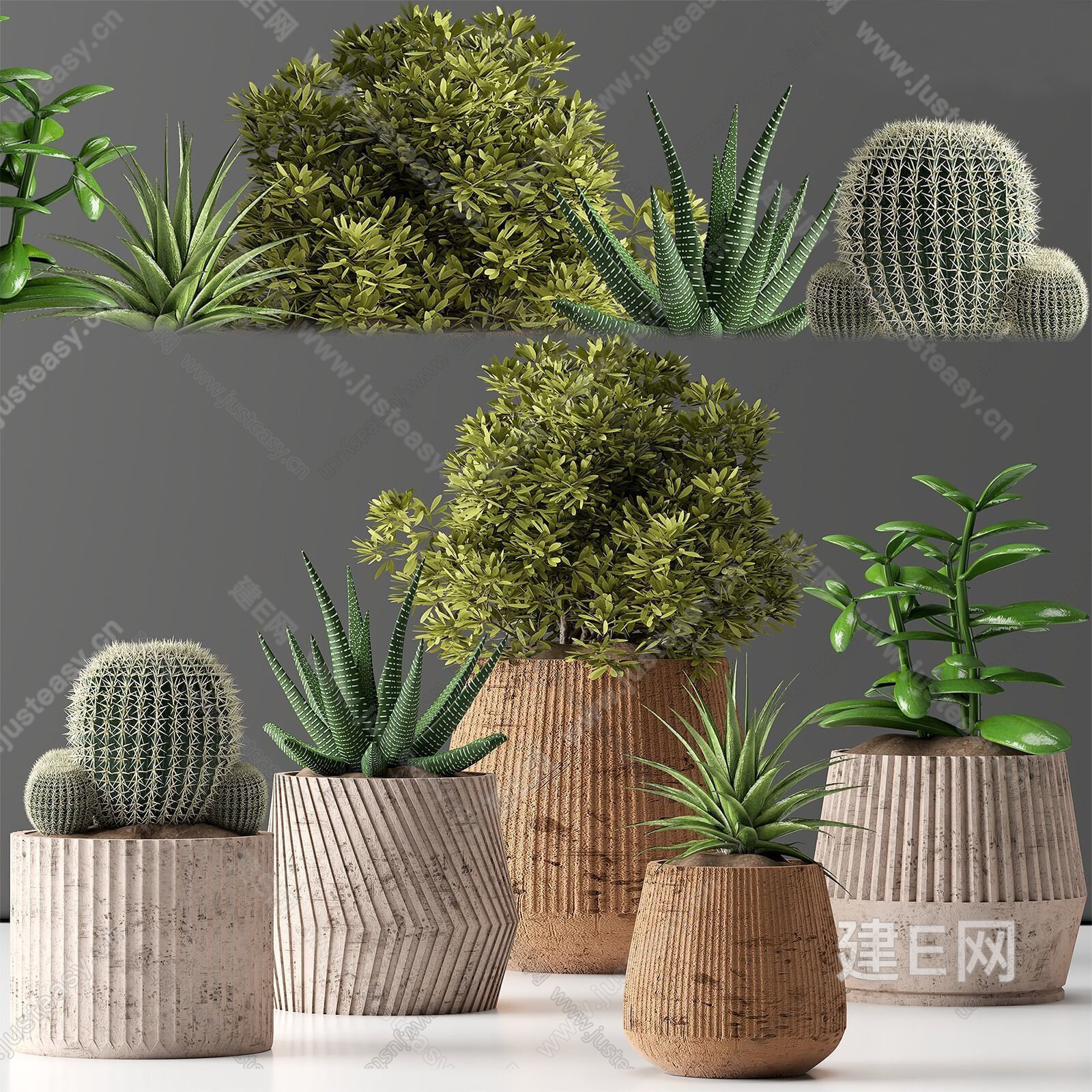 【现代绿植盆栽3d模型】建e网现代绿植盆栽3d模型下载 Id115693936 打造3d现代绿植盆栽模型免费下载平台