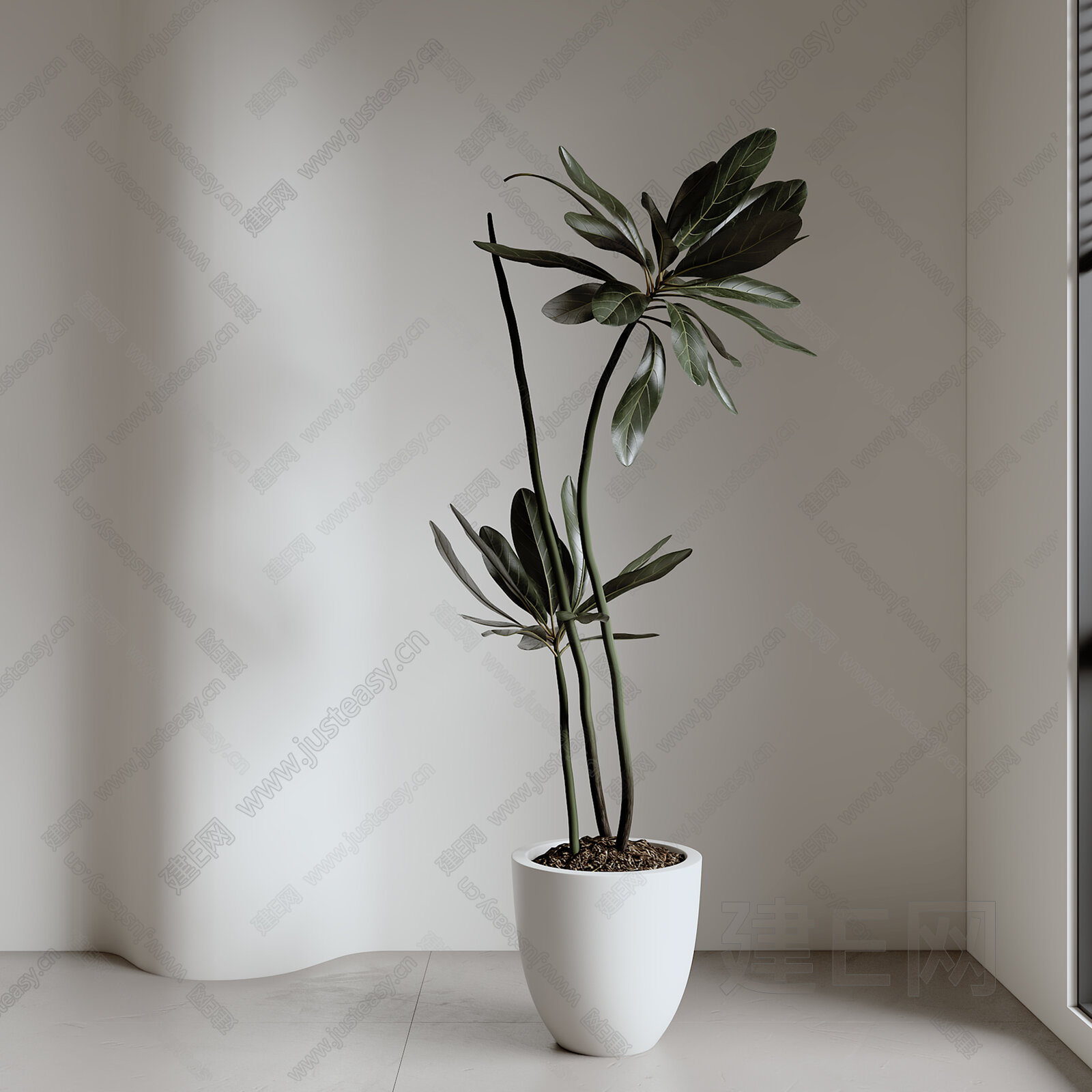 【现代绿植盆栽3d模型】建e网现代绿植盆栽3d模型下载 Id115497296 打造3d现代绿植盆栽模型免费下载平台
