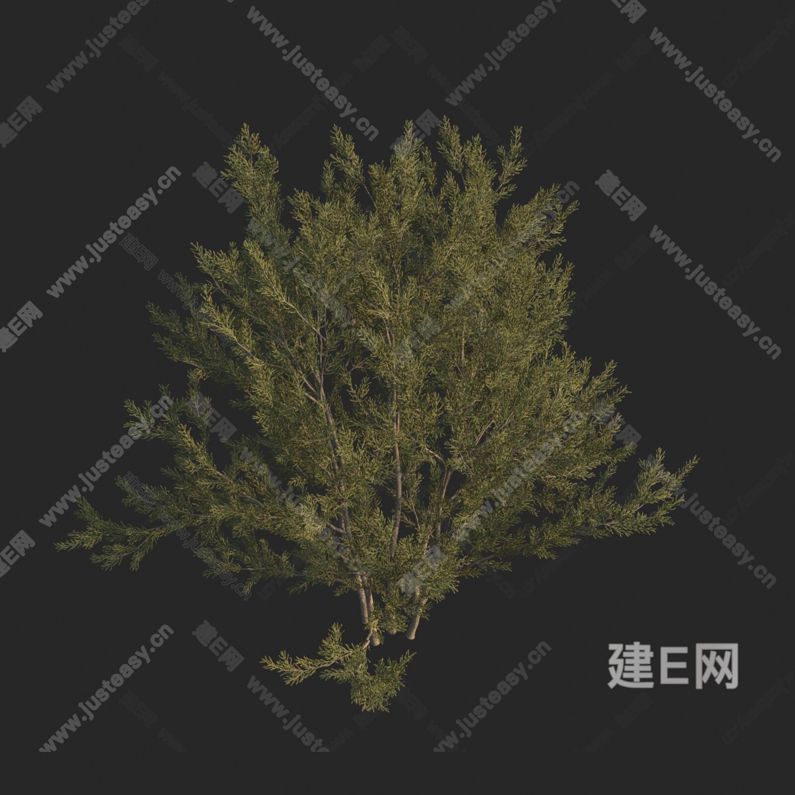 【盐穗木灌木3d模型】建e网盐穗木灌木3d模型下载 Id116677024 打造3d盐穗木灌木模型免费下载平台