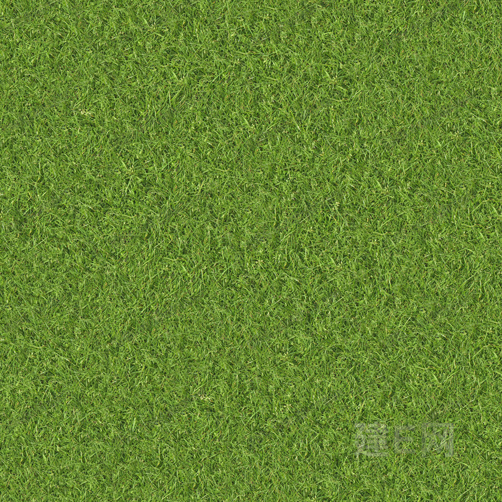 草地地面3d贴图下载[ID:103699777]_建E室内设计网