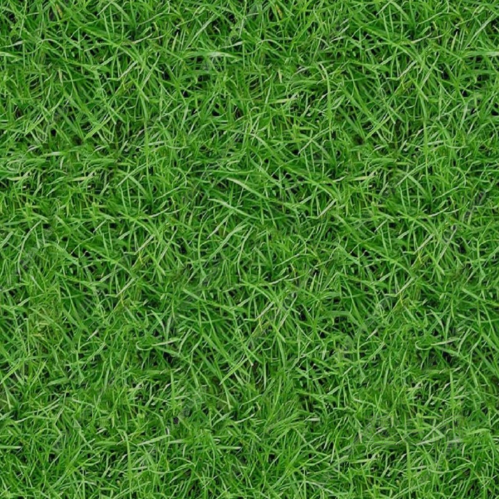 无缝自然草地草皮草坡绿地3d贴图下载[ID:103176246]_建e贴图